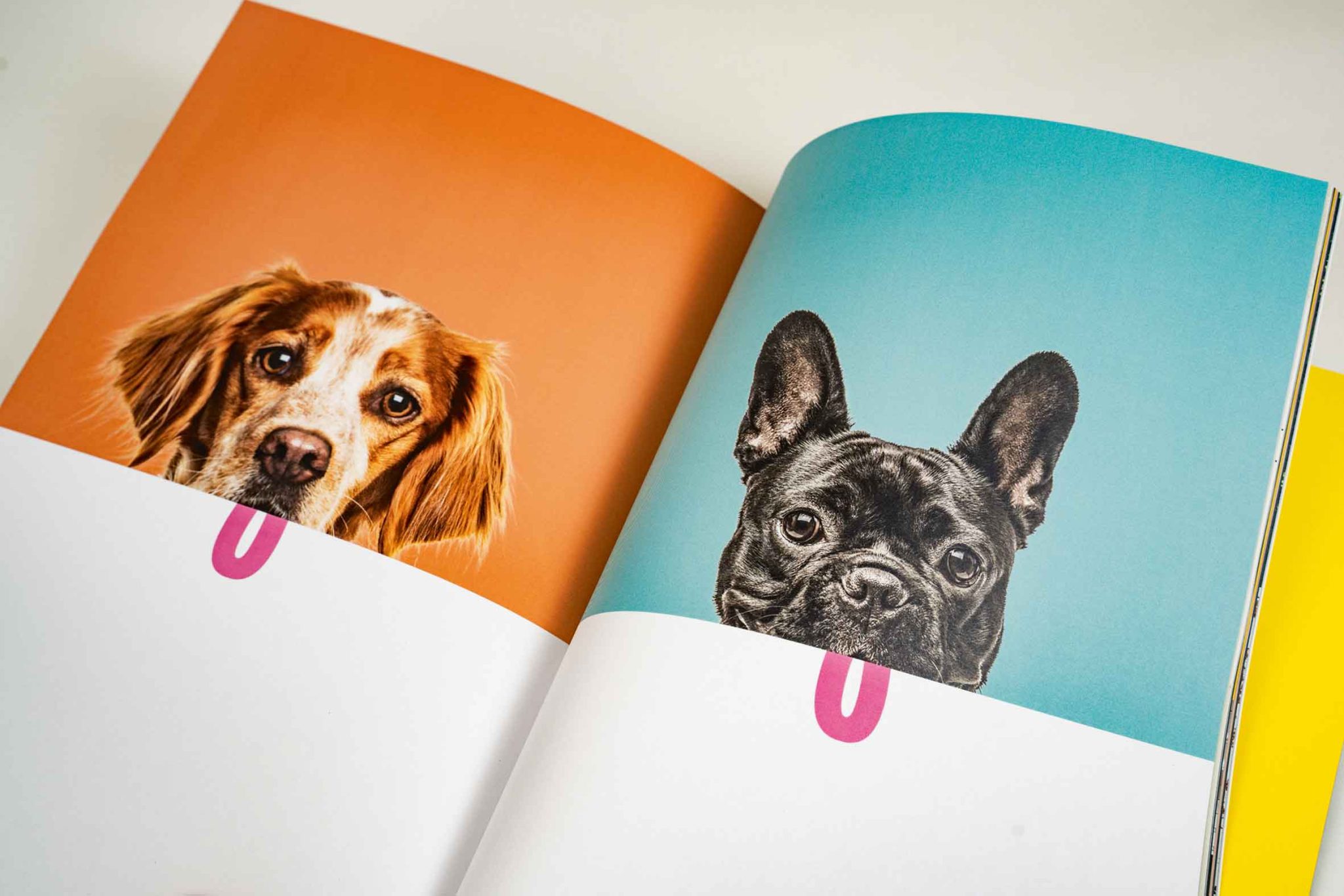 Digital Printer Awards - Recognising excellence in digital printing